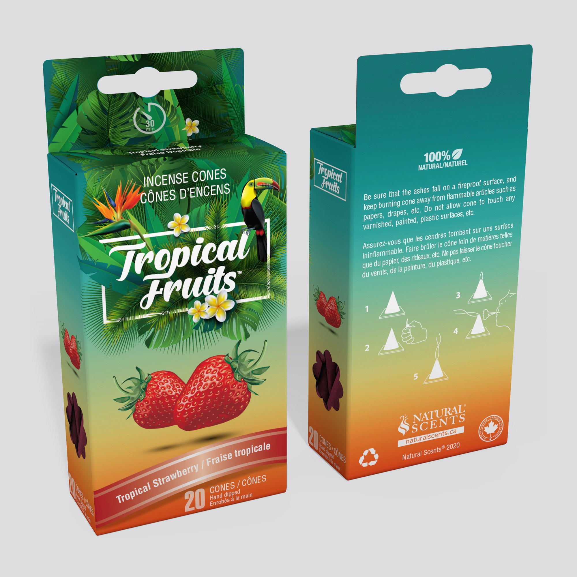 Tropical Fruits #11 Tropical Strawberry Cones – Natural Scents